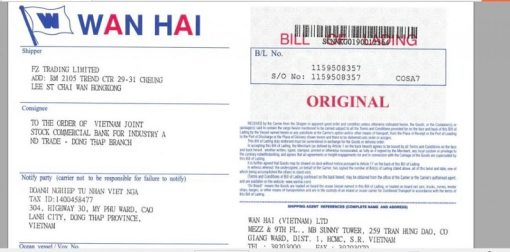 Master bill of lading là gì? Ai phát hành master bill?